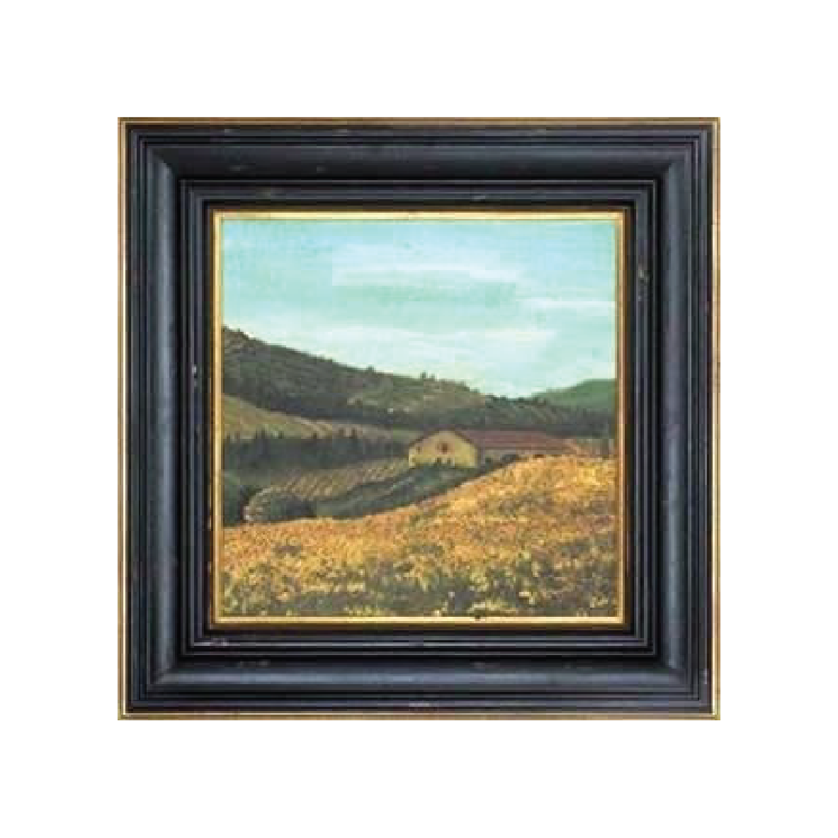 Custom Picture Framing